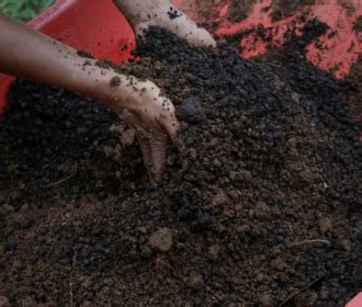 Adding Local Rocks Soil To Your Garden Rock Grow