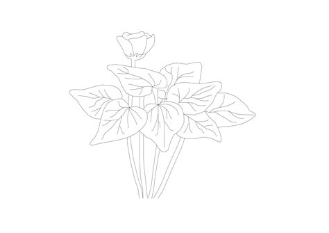 Free Plant Elevation Cad Block Dwg Dxf Pdf Format Freecads