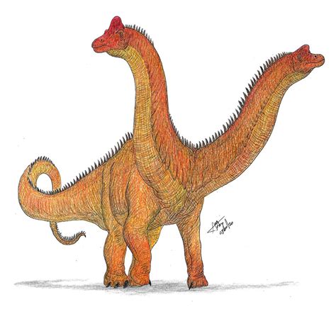 Alternate Evolution Speculative Evolution Wiki Fandom