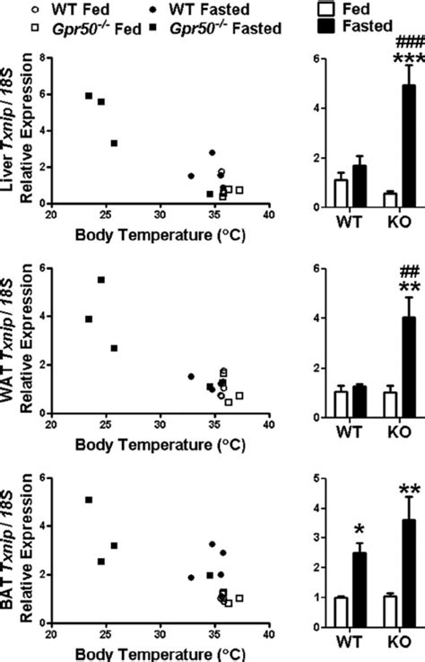Peripheral Expression Of Txnip During Torpor Qrt Pcr Analysis Of Txnip Download Scientific