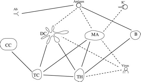 Dashed Lines Indicate Unspecific Binding And Solid Lines Indicate