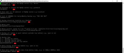 Backup The Database Of Vigoracs By The Script Draytek