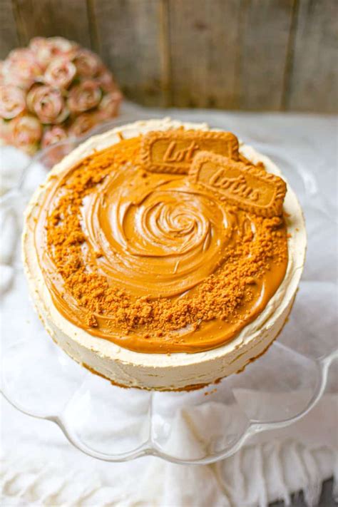 Easiest Vegan Biscoff Cheesecake Recipe Youll Ever Try Daily Vegan Meal