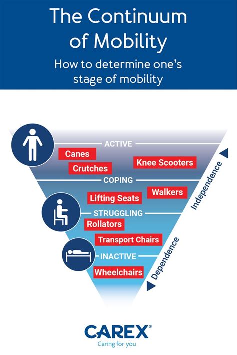The Continuum Of Mobility A Guide To Decreased Mobility Health Promotion Mobility Cane