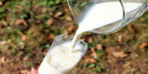 Raat Me Dudh Pine Ke Fayde Sehatgyan