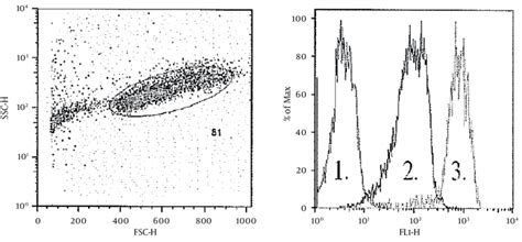 Representative Flow Cytometry Data From PBMCs Download Scientific Diagram