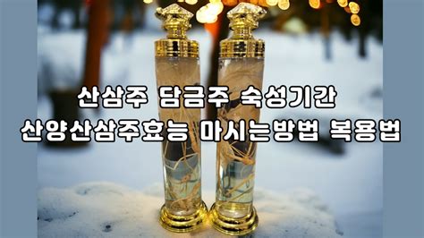 산삼주 담금주 숙성기간 산양산삼주효능 마시는방법 복용법 네이버 Tv