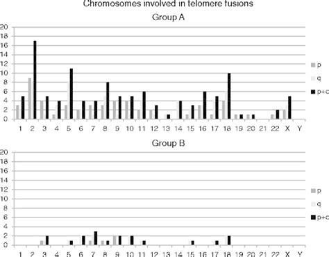 Chromosomes Involved In Telomere Fusions In Group A And B Download
