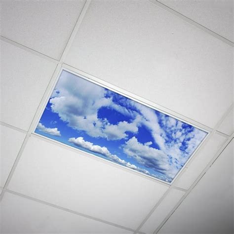 Fluorescent Light Diffuser