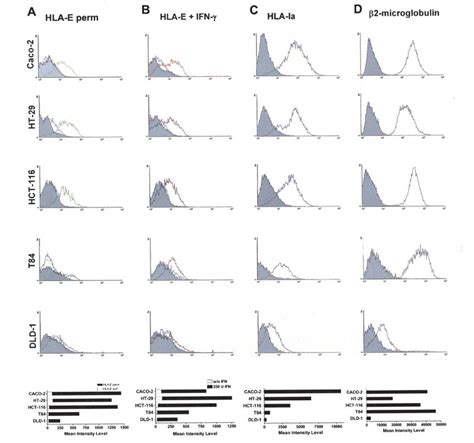 In Vitro Hla E Expression By Crc Cell Lines A Flow Cytometry