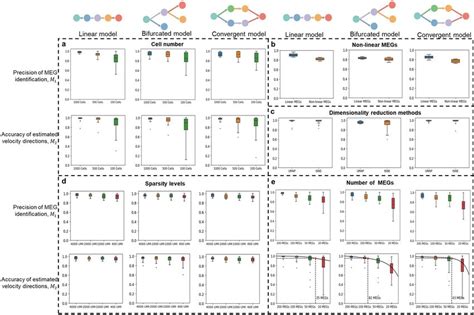 Schematic Of The PhyloVelo Framework A Schematic Of MEGs Over Download Scientific Diagram