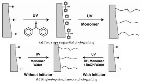 Various Strategies In Post Polymerization Functionalization Of Organic Polymer Based Monoliths