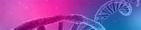 The Power Of Accurate Long Read Rna Sequencing For Fusion Gene