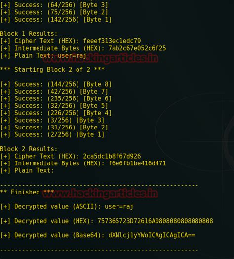 Hack The Padding Oracle Lab Hacking Articles