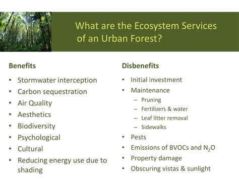 Ppt Ecosystem Services Of Trees Powerpoint Presentation Free
