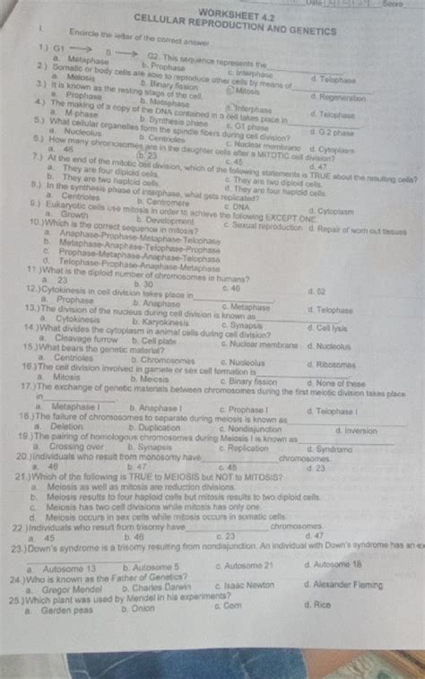 Cell Reproduction High School Biology Worksheets Vocabulary Sets