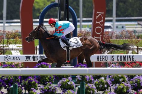 ヤマニンウルス の写真ギャラリー 競馬ニュースなら競馬のおはなし