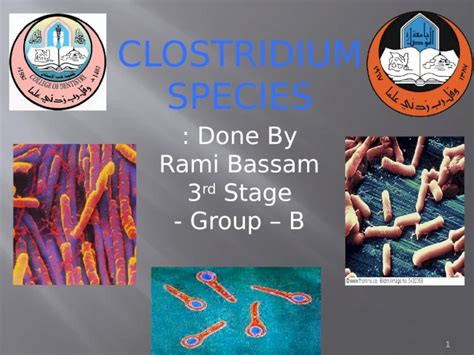Pptx Clostridium Species Microbiology Dokumen Tips