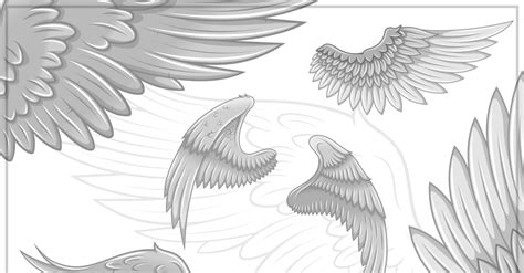 Folded Angel Wings Vector