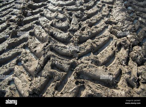 Soil Compaction In The Field Vehicle Tracks Duesseldorf Germany