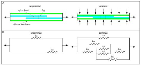 Schematic Of Analytical Model Of Structural Jamming A Schematic Download Scientific Diagram