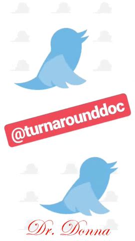 Api Docs GIFs Get The Best On GIPHY