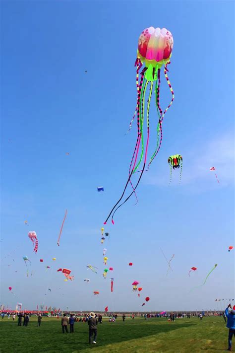 30 м 45 м большие Медузы воздушные змеи открытый Осьминог воздушный змей катушка Мощный