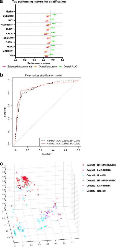 A Five Marker Three Class Stratification Model For Bladder Cancer Risk