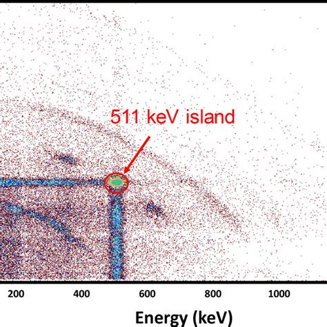 A 2d Histogram Showing The Pulse Height In Each Nai Detector For Download Scientific Diagram