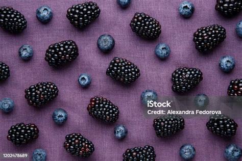 베리 패턴 배경입니다 신선한 육즙이 많은 블랙베리와 블루베리 과일에 대한 스톡 사진 및 기타 이미지 과일 블랙베리 패턴 Istock