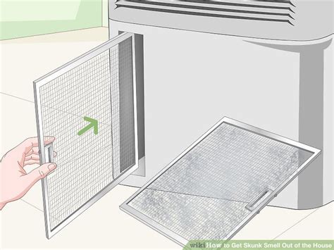 5 Ways To Get Skunk Smell Out Of The House Wikihow