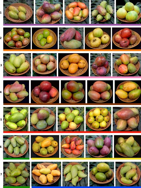 Plantae Population Genomic Analysis Of Mango Suggests A