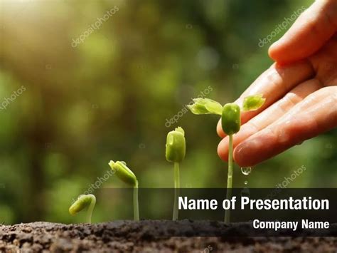 Seed Germination Powerpoint Template Seed Germination Powerpoint