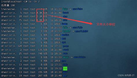 Linux系统中ls命令的使用详解 Csdn博客
