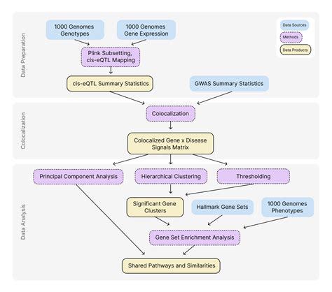 Genetic Correlations In Aging Related Diseases Colocalization And Enrichment Analysis