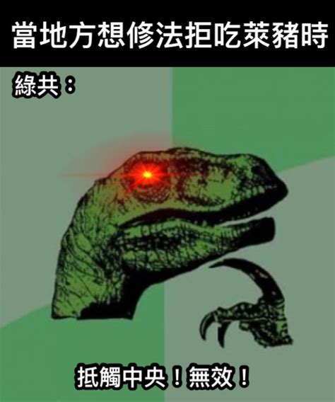 當地方想修法拒吃萊豬時 綠共： 抵觸中央！無效！