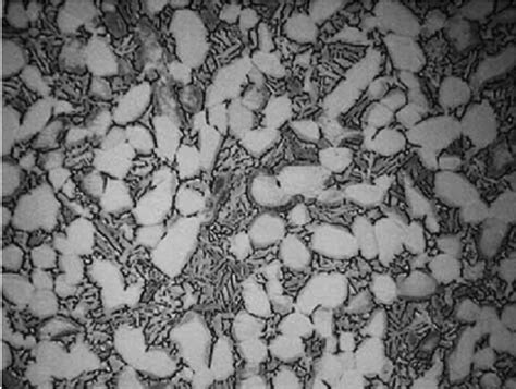 Optical Micrographs Showing The Microstructure Of Ti 6al 7nb Alloy