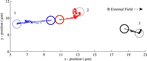 Two Dimensional Trajectory Plot Of Three Super Paramagnetic Beads 1 μm