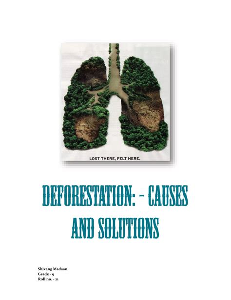 Deforestation Pdf Agriculture Industries
