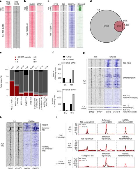 acute loss of etv6 leads to increased ews fli binding a c heatmaps