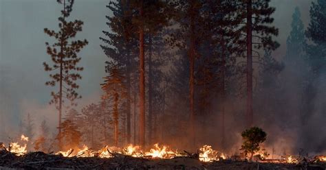 Mosquito Fire Becomes Californias Largest Of Year News Pub