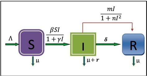 The Proposed Sir Models Flow Diagram Download Scientific Diagram