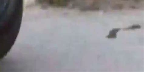 Thick Ass Taj Taj Mendez