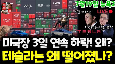 미국주식시황오늘 왜 더 떨어졌나 테슬라 엔비디아는 왜 떨어졌나구글 애플 아마존 메타 마이크로소프트 팔란티어 아이온큐 Smci 델 브로드컴 인텔등 Tsla