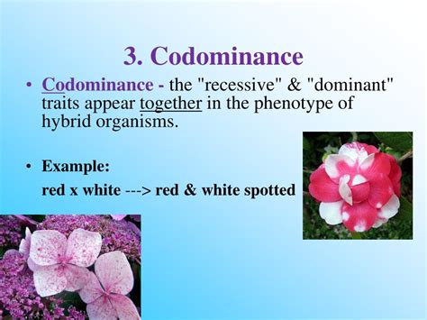 PPT Human Genetics PowerPoint Presentation Free Download ID