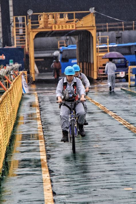 Contracting Quilt Stellae Energy