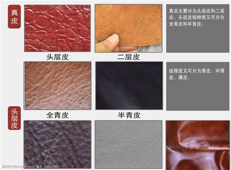 皮的分类图片图片 图行天下素材网