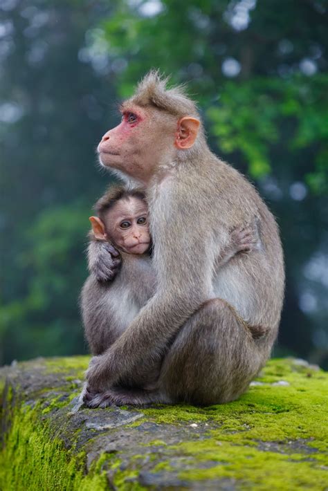 Cutecorepcwallpaper Photos Download The Best Free Cutecorepc