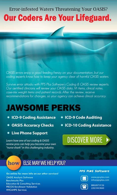 7 Coding And Oasis Review Ideas Coding Oasis Coder