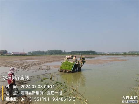 江苏省农业农村厅 土壤肥料 灌南县召开2024年水稻侧深施肥技术现场观摩会